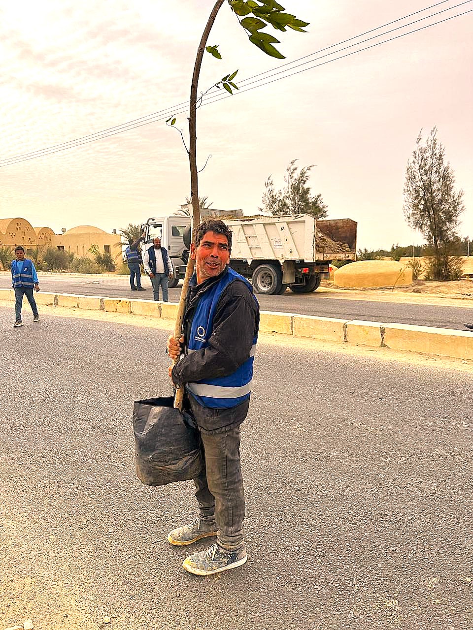 “Green Road” Project Begins Tree Planting Around Wadi El-Rayan ...